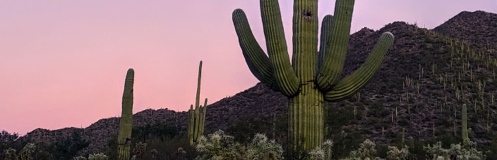 Crisis Response Center in Phoenix, AZ
